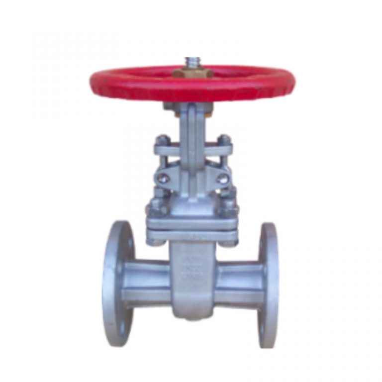 Válvula de Compuerta en A.Inoxidable TECFLOW TF-MGV-SS-F PN-16 ...