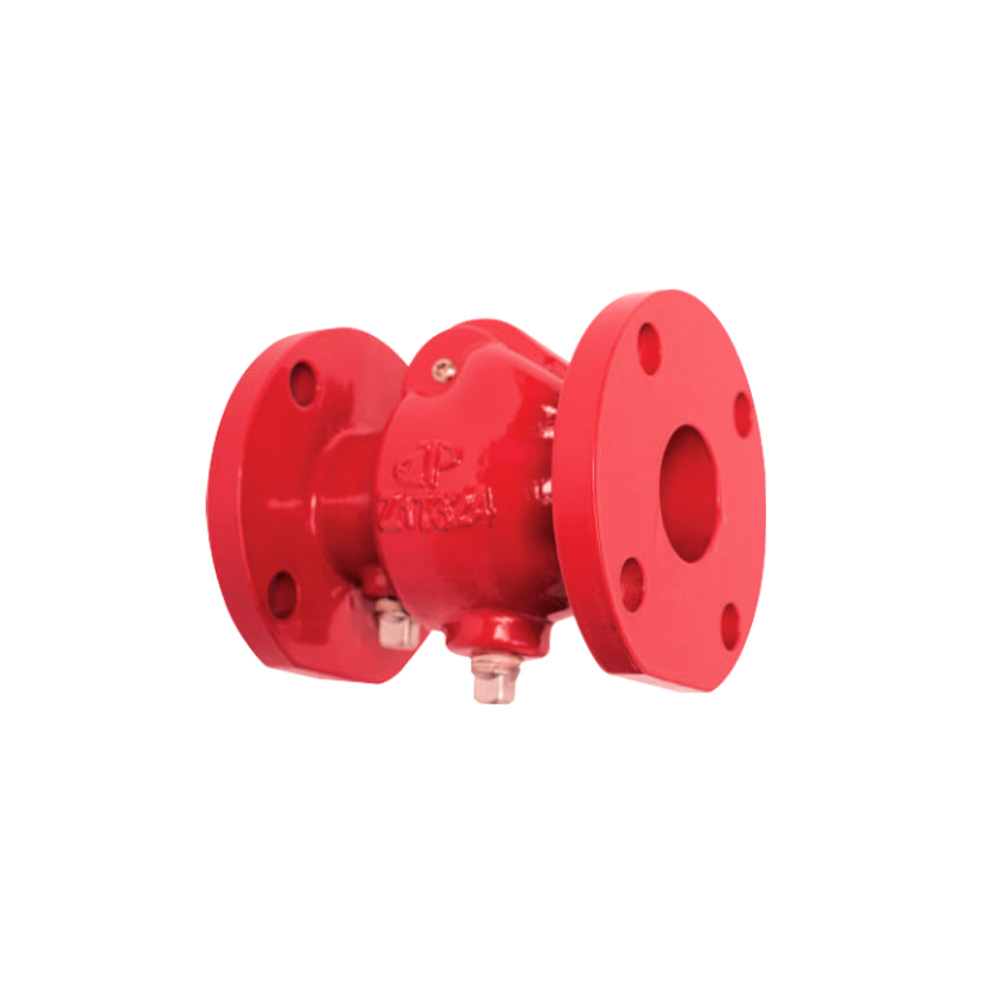 350 PSI Flanged Swing Check Valve – Valveseal